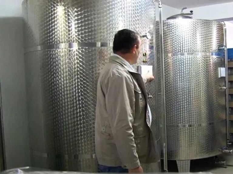 Lekovitost dunje - Zašto je dunja najlekovitije voće na svetu? | Srem ...