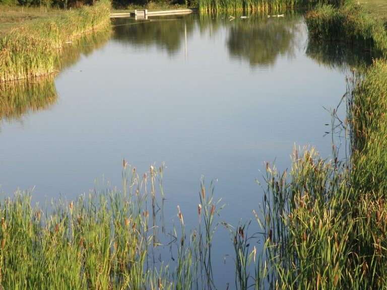 6 Najboljih destinacija za odmor sa decom u Srbiji | Srem Online