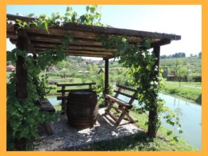 4 Razloga zašto Treba Posetiti Mali Dunav kod Beograda | Srem Online