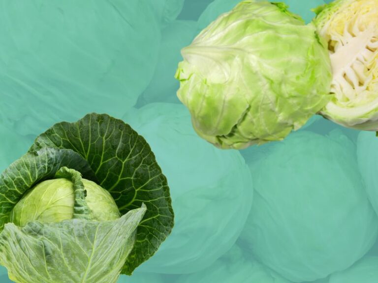 Kiseljenje kupusa - Proveren recept za savršen kiseli kupus | Srem Online